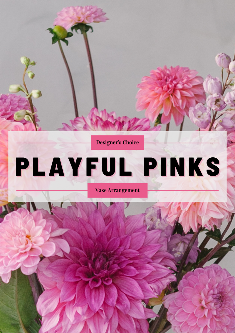 Playful Pinks - Designer's Choice Arrangement | Evans Flowers